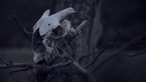 Conoce a WAANO y su primer single "Bajo tierra" - Metal Korner